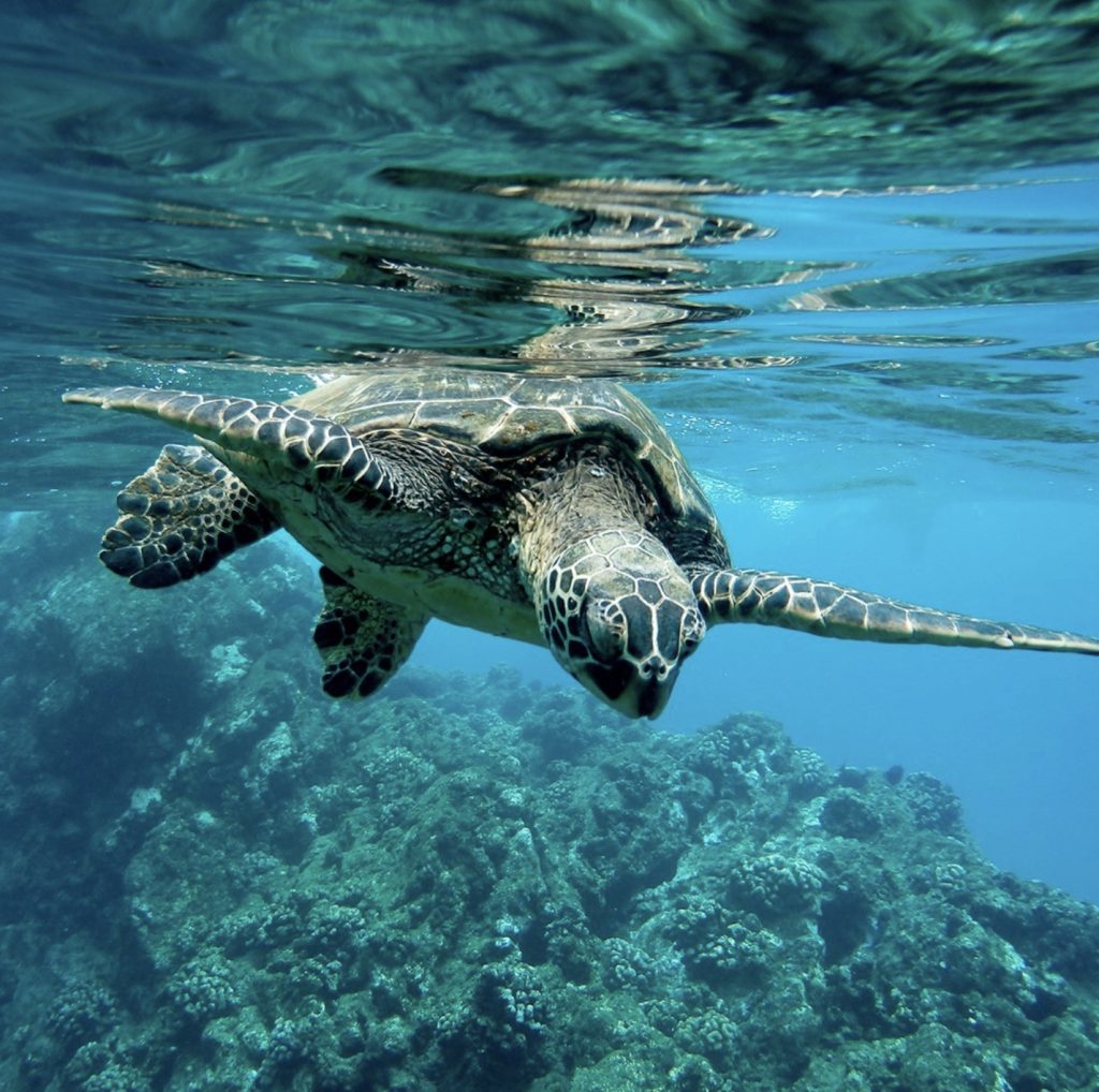 Ubicación – Cabañas El Cielito